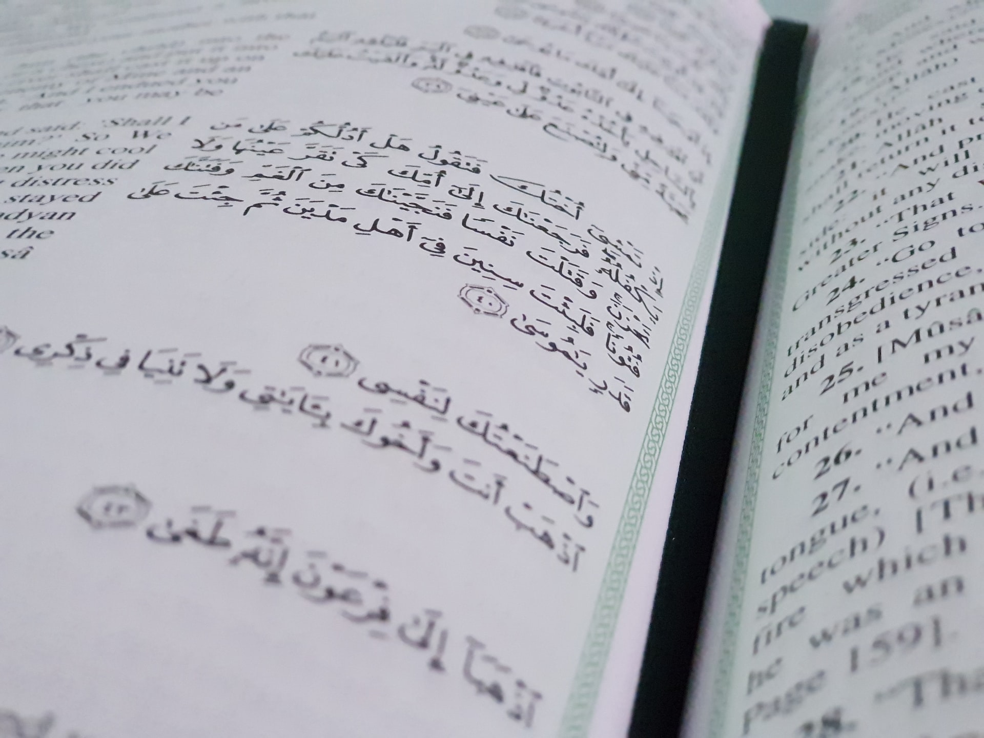 12 Surprising Facts About the Arabic Language - Translation department ...
